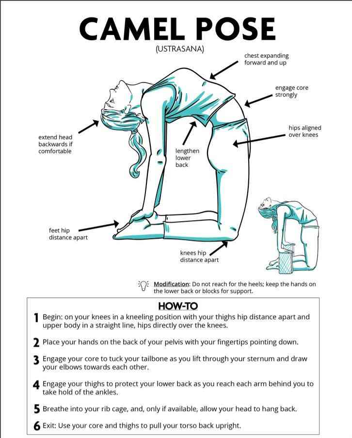 Camel Pose Benefits Camel Pose: How To Practice Ustrasana Yoga