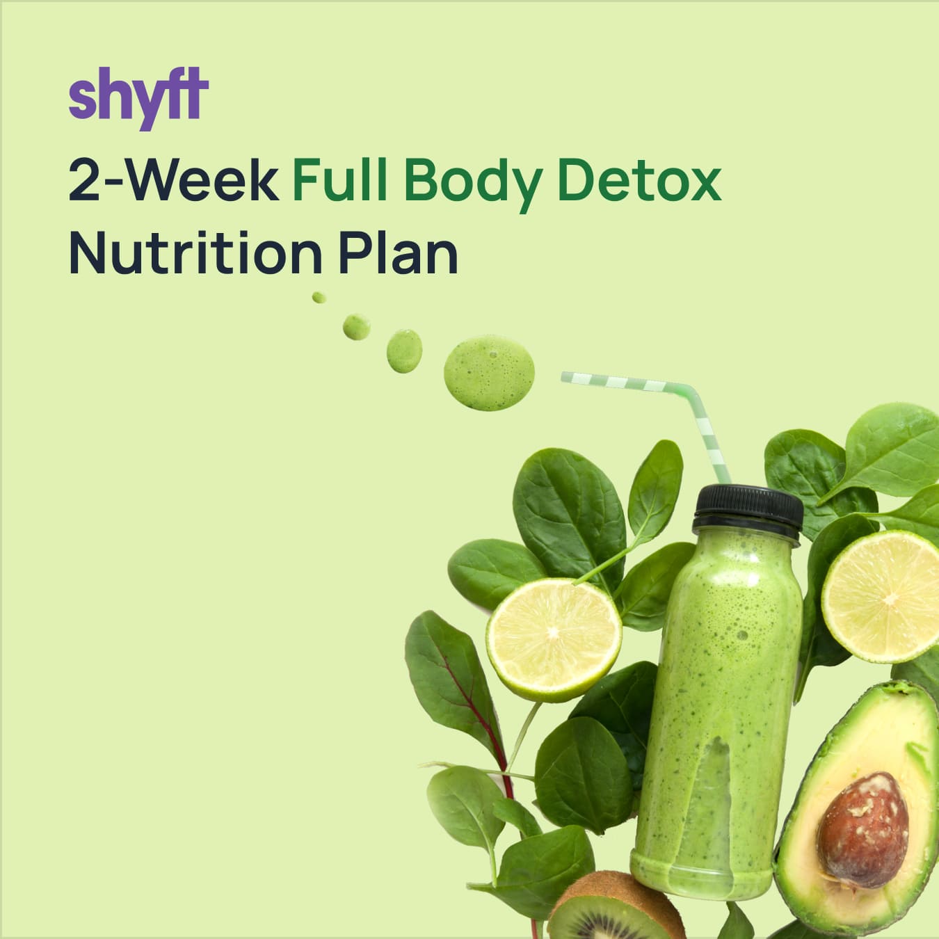 3 Month nutrition,diet program full body detox with Shyft