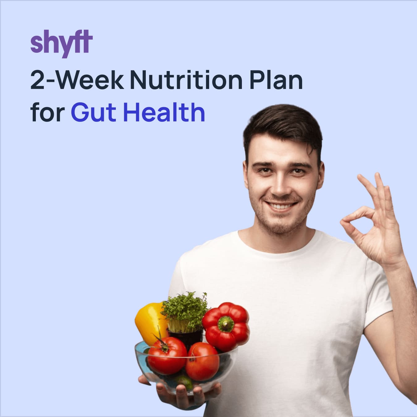 3 month nutrition,diet program for gut health with Shyft